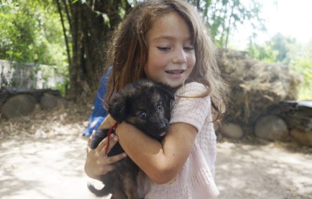 Peepal Farm: This NGO Is Making India's First Animal Rescue Show ...